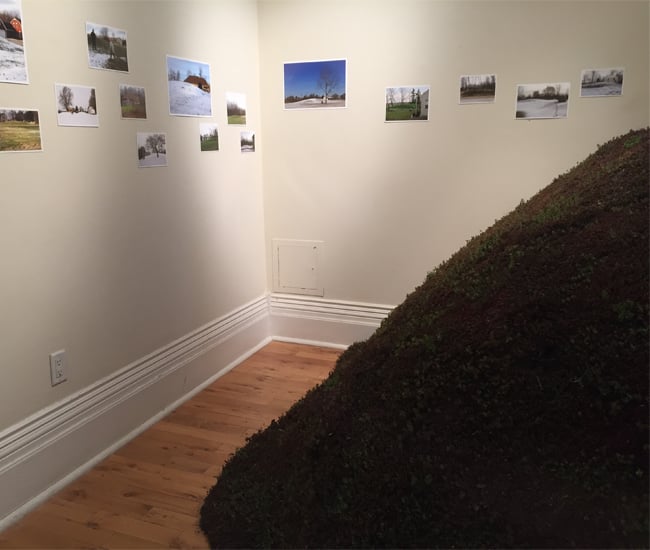 Gladstone Hotel Grow Op 2015 | Designlines Magazine
