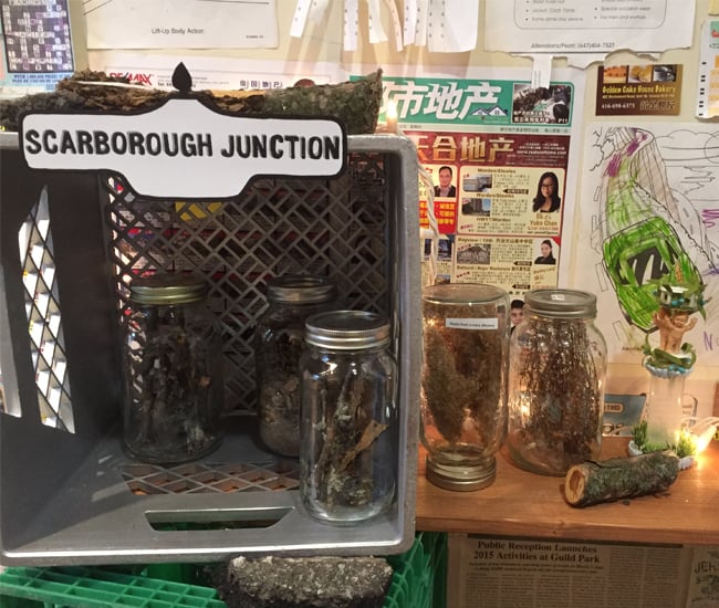 Gladstone Hotel Grow Op 2015 | Designlines Magazine