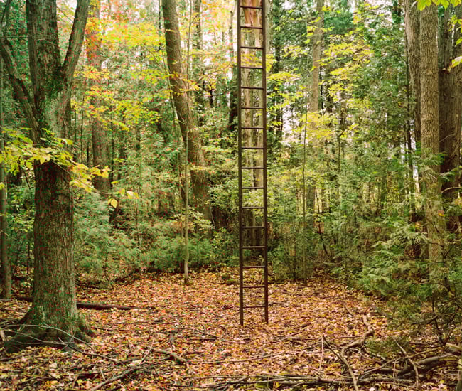 Grow Op at Gladstone Hotel Celebrates Nature and Art | Designlines Magazine