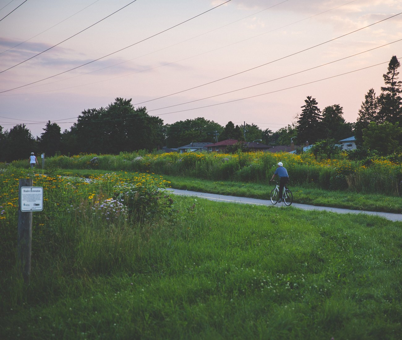 The Meadoway: Scarborough's 16 km Hydro Corridor | Designlines Magazine