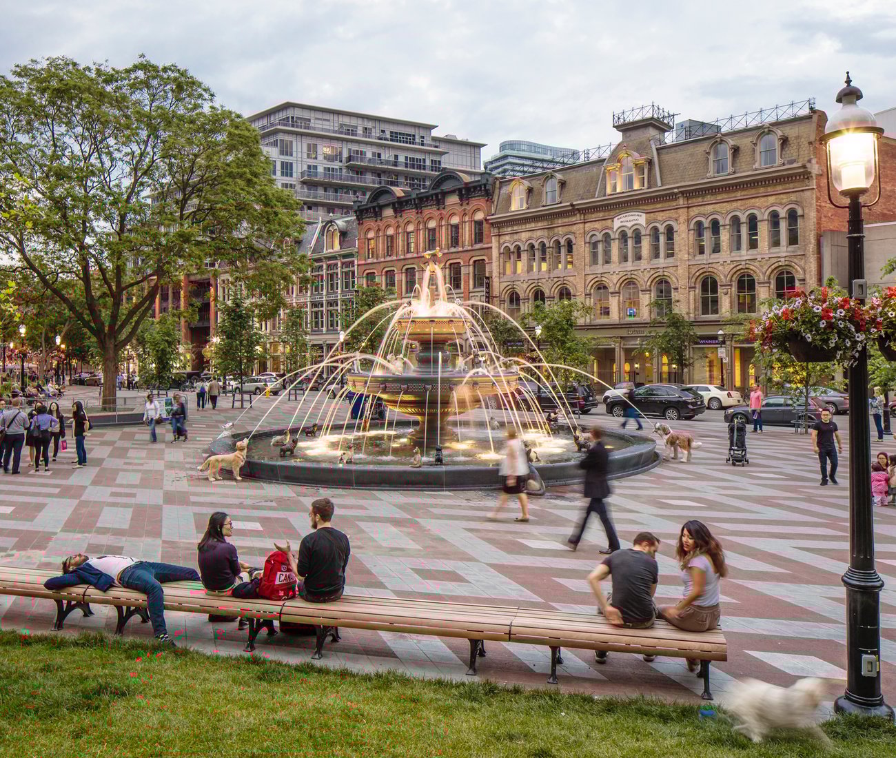 Dog Friendly Spaces Captured in Design Photography | Designlines Magazine