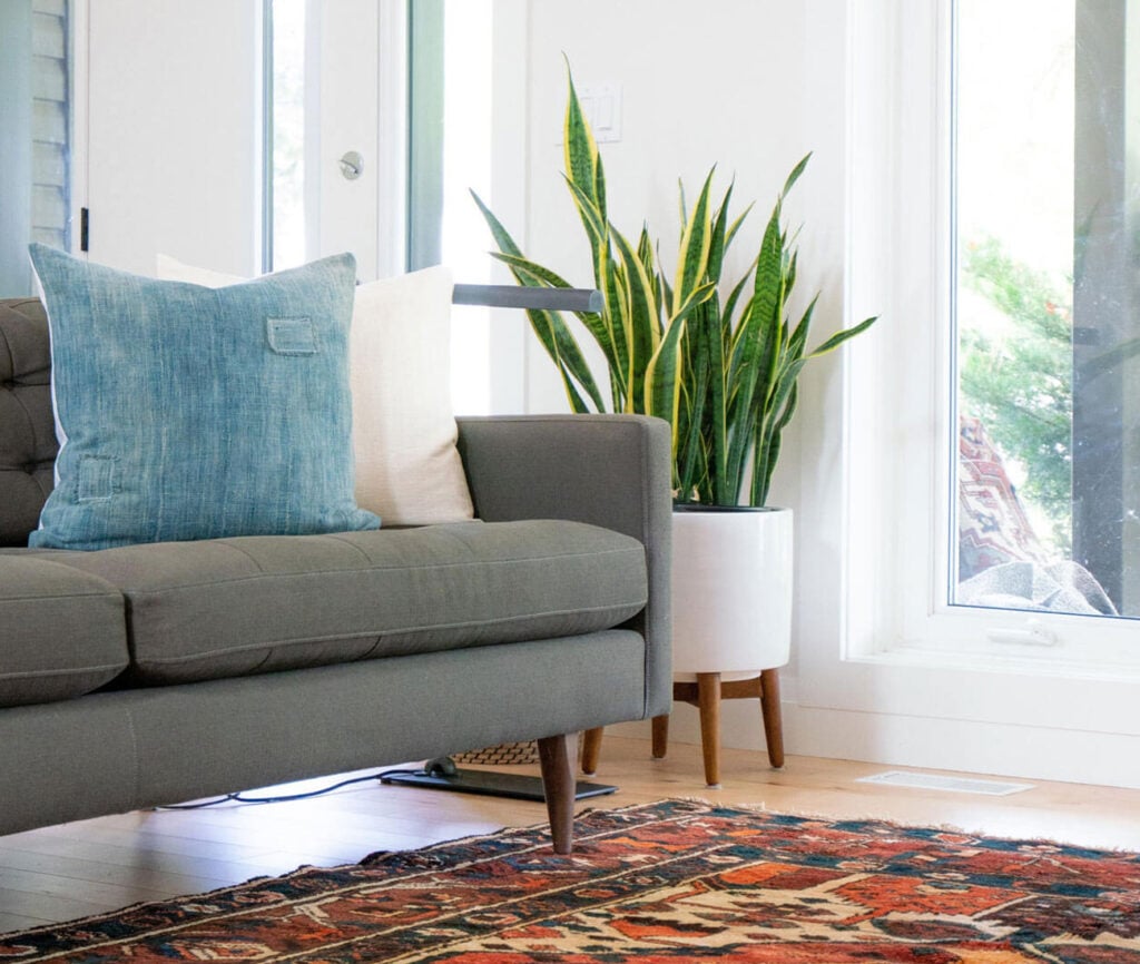 The Best Rug Stores in Toronto | Designlines Magazine