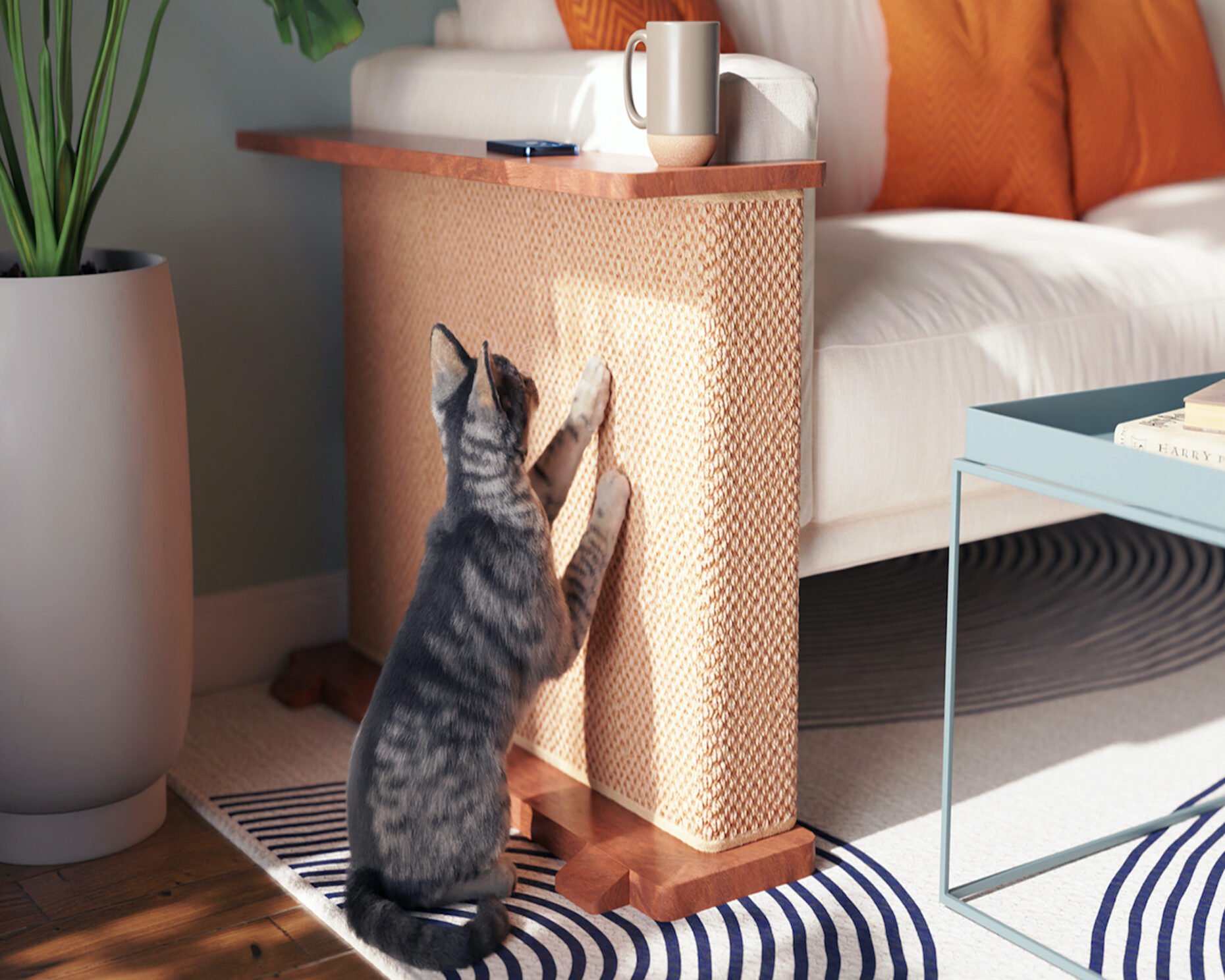 Pet Accessories That Don’t Compromise on Style | Designlines Magazine