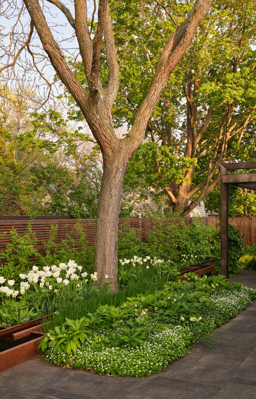 A Vives St-Laurent Edwardian Reno | Designlines Magazine