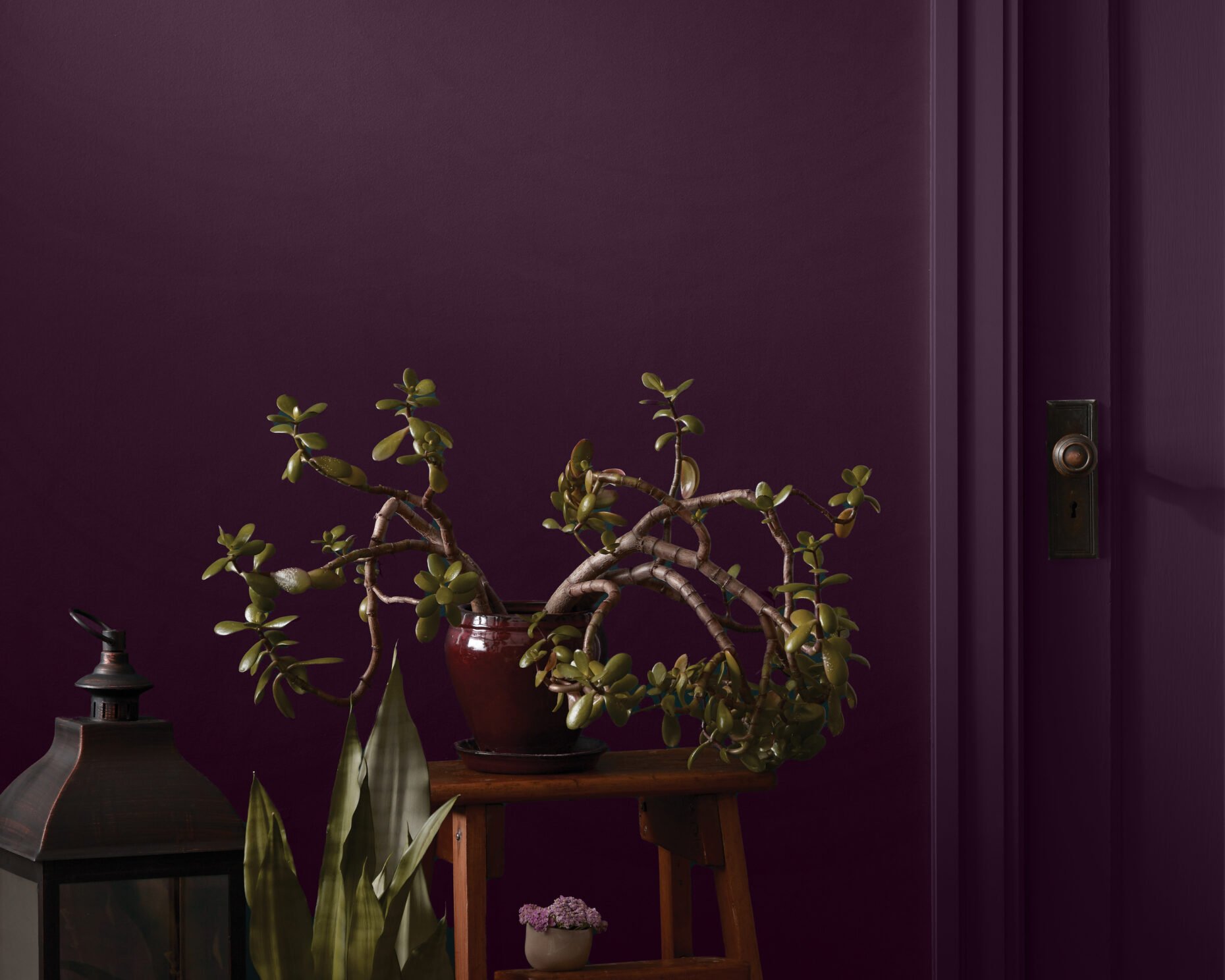 BeautiTone: The Canadian Paint Brand You Should Know | Designlines Magazine