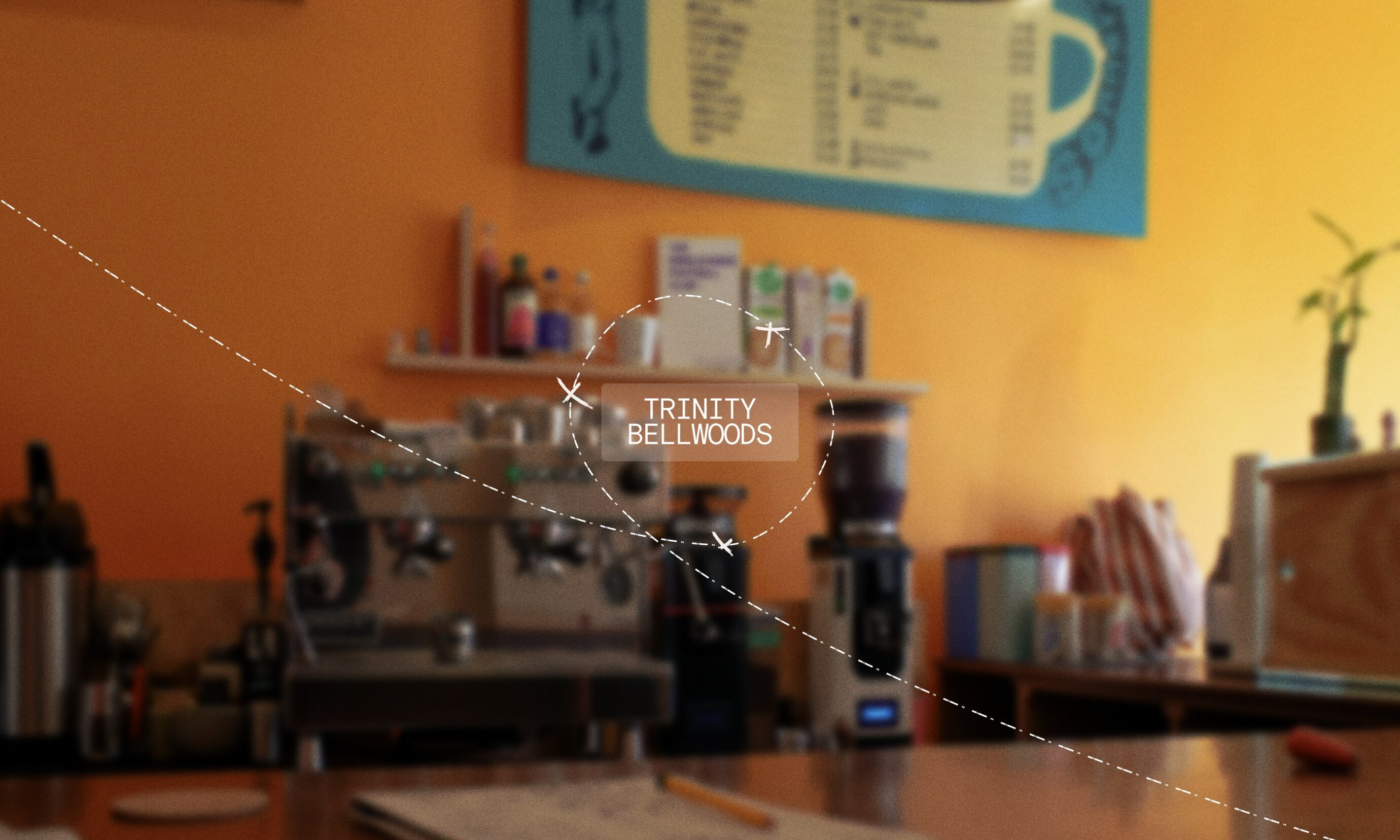 A Day in Trinity Bellwoods | Designlines Magazine